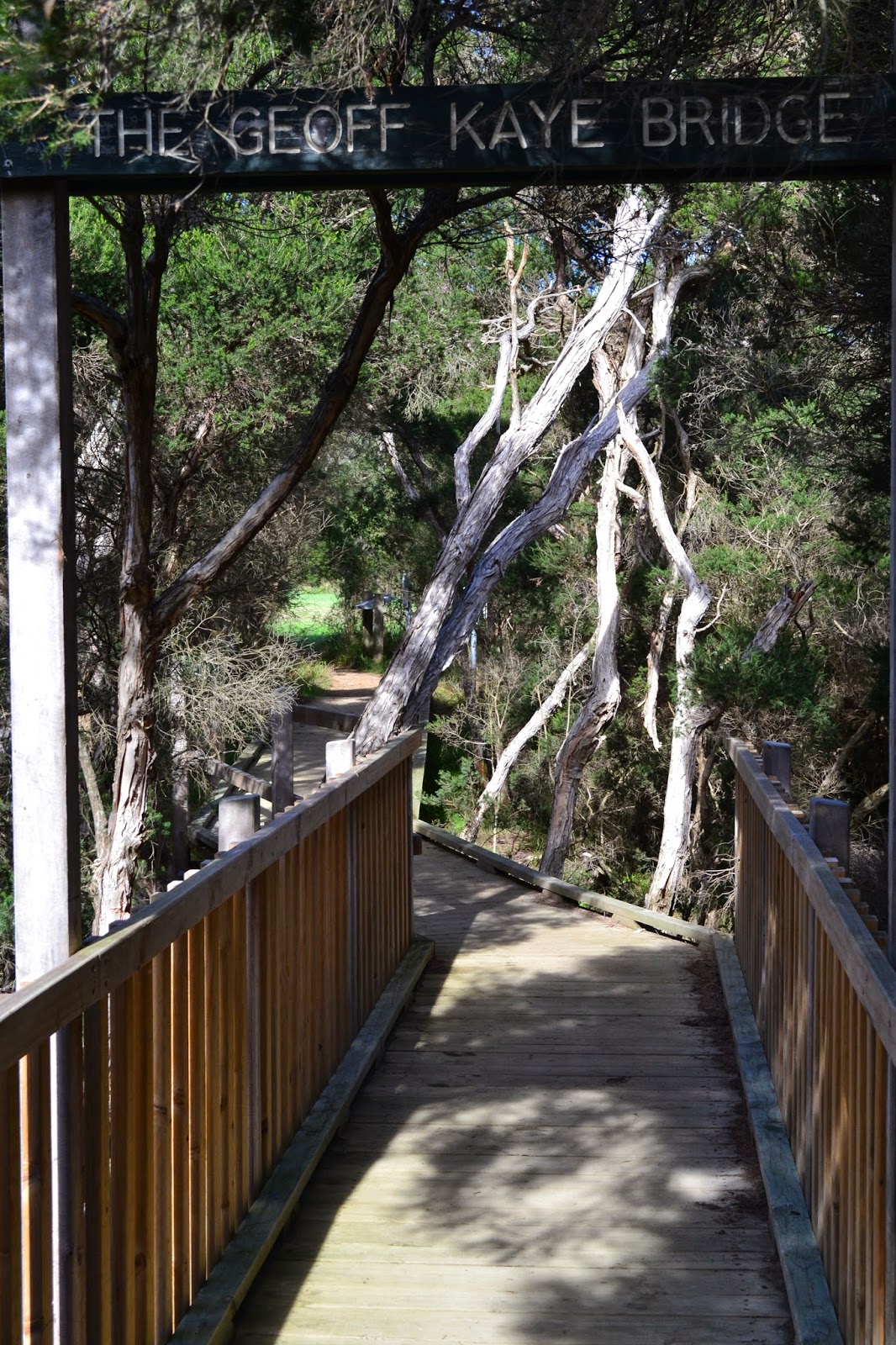 Goin' Feral One Day At A Time: Balcombe Estuary Nature Park Trail, 13th ...