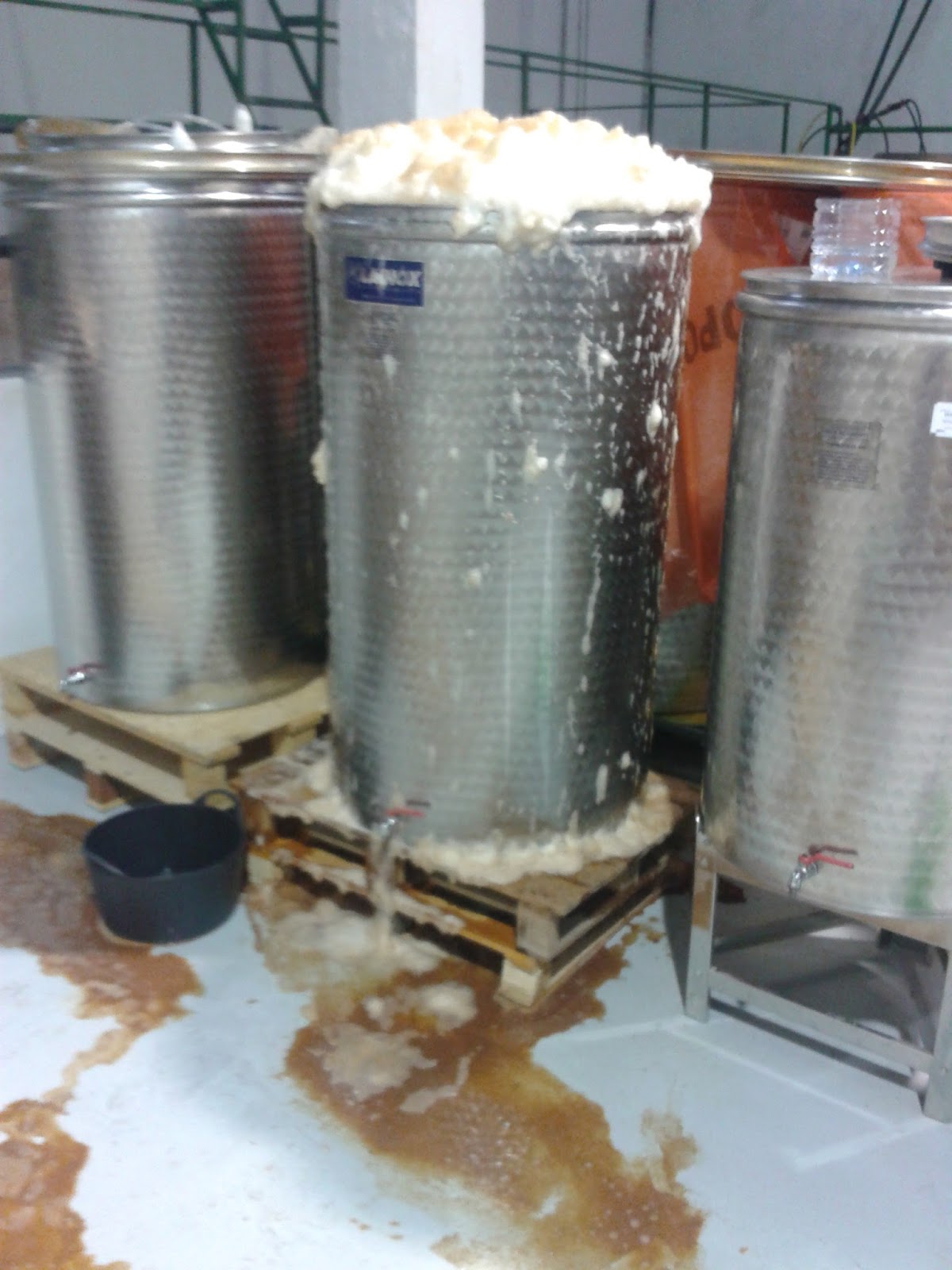 Vinos Ambiz: September 2013