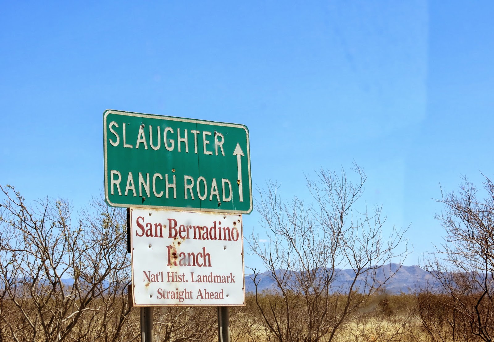 Where's Liz? 2014: Slaughter Ranch, San Bernadino and Leslie Canyon ...