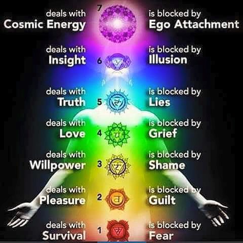 “Always do what you are afraid to do.”: Truth on The Seven Chakras And ...