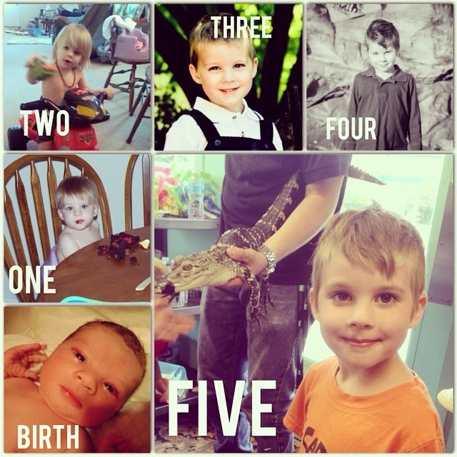 Our Crazy Corner of the World