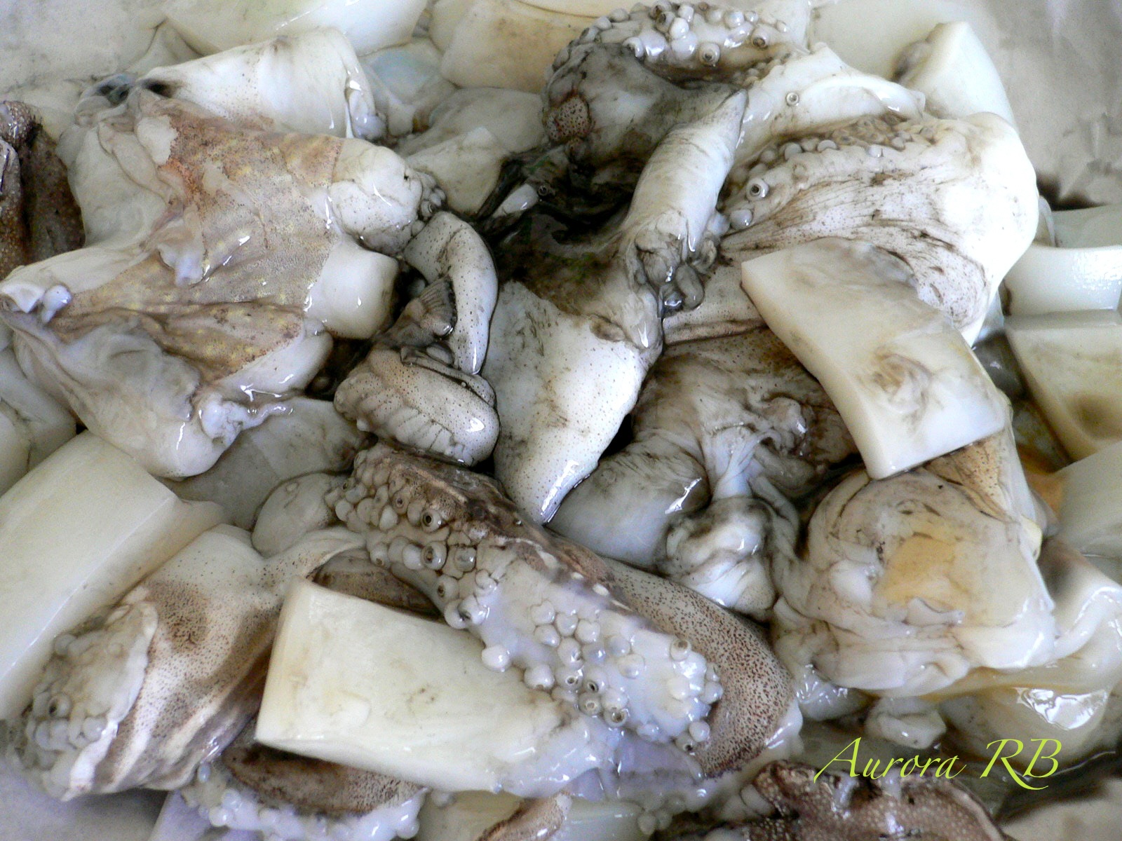 Las recetas de Aurora: Jibia en salsa de almendras (I)