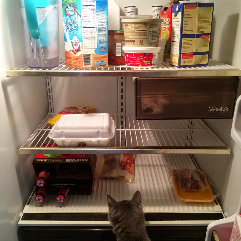 Creatively Casey: The Empty Fridge Challenge