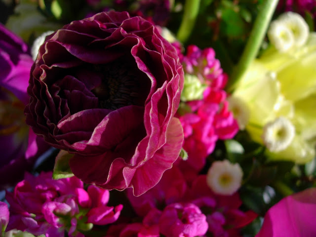 The Botanique Blog: Plum Ranunculus