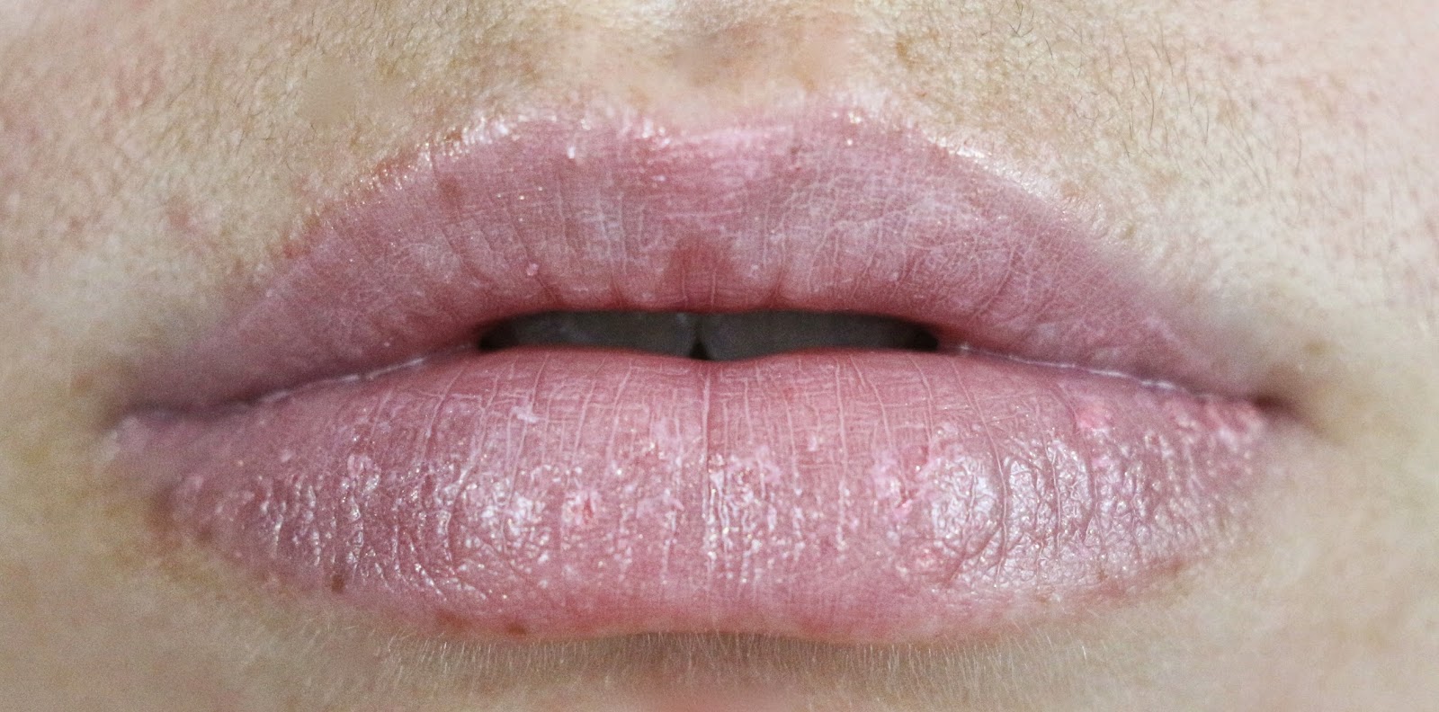 Evolution of a Foodie: Indie Subscription: Notoriously Morbid January ...