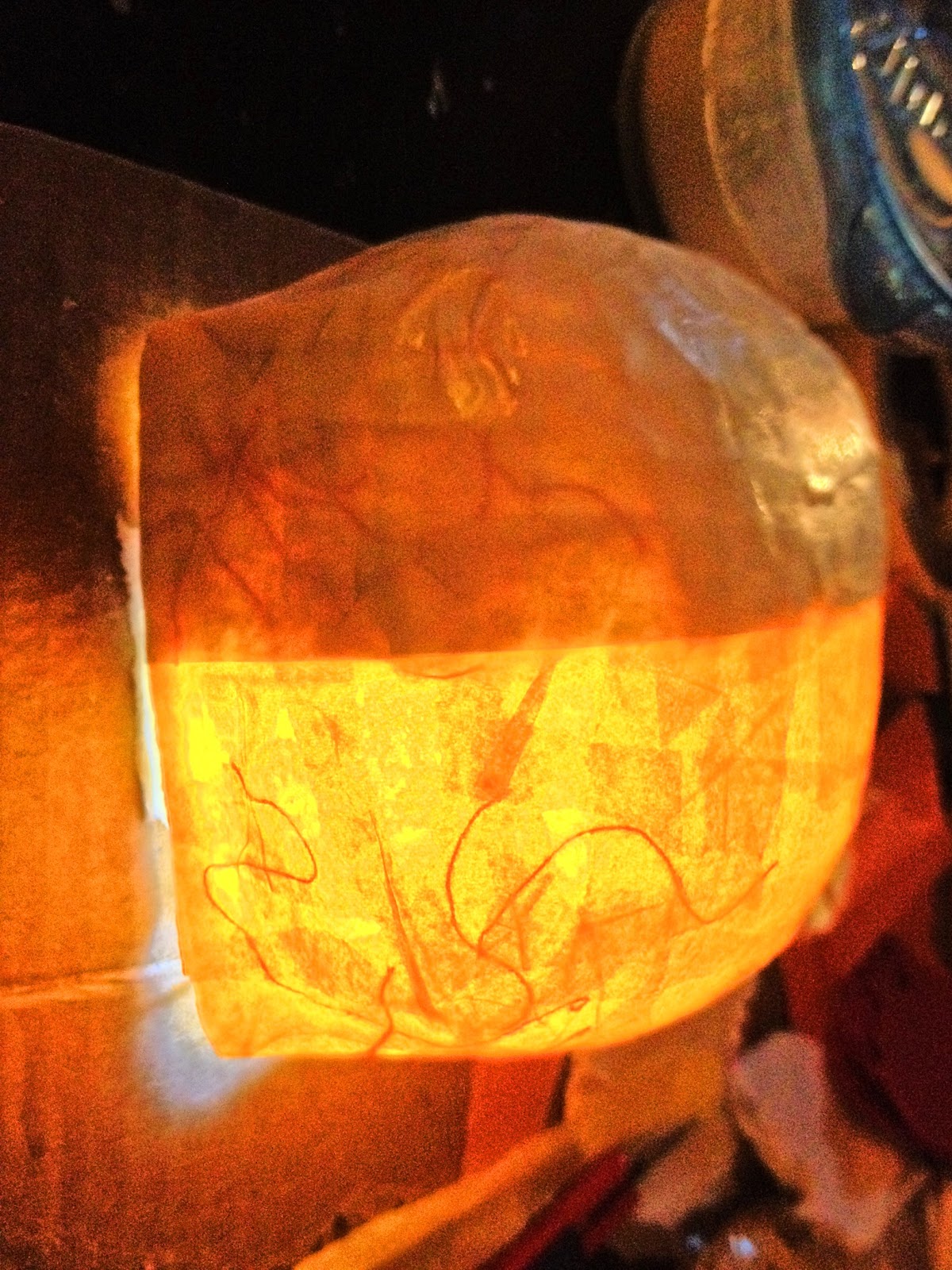 Anatamation: where Anatomy meets Animation: Paper Mache Eye