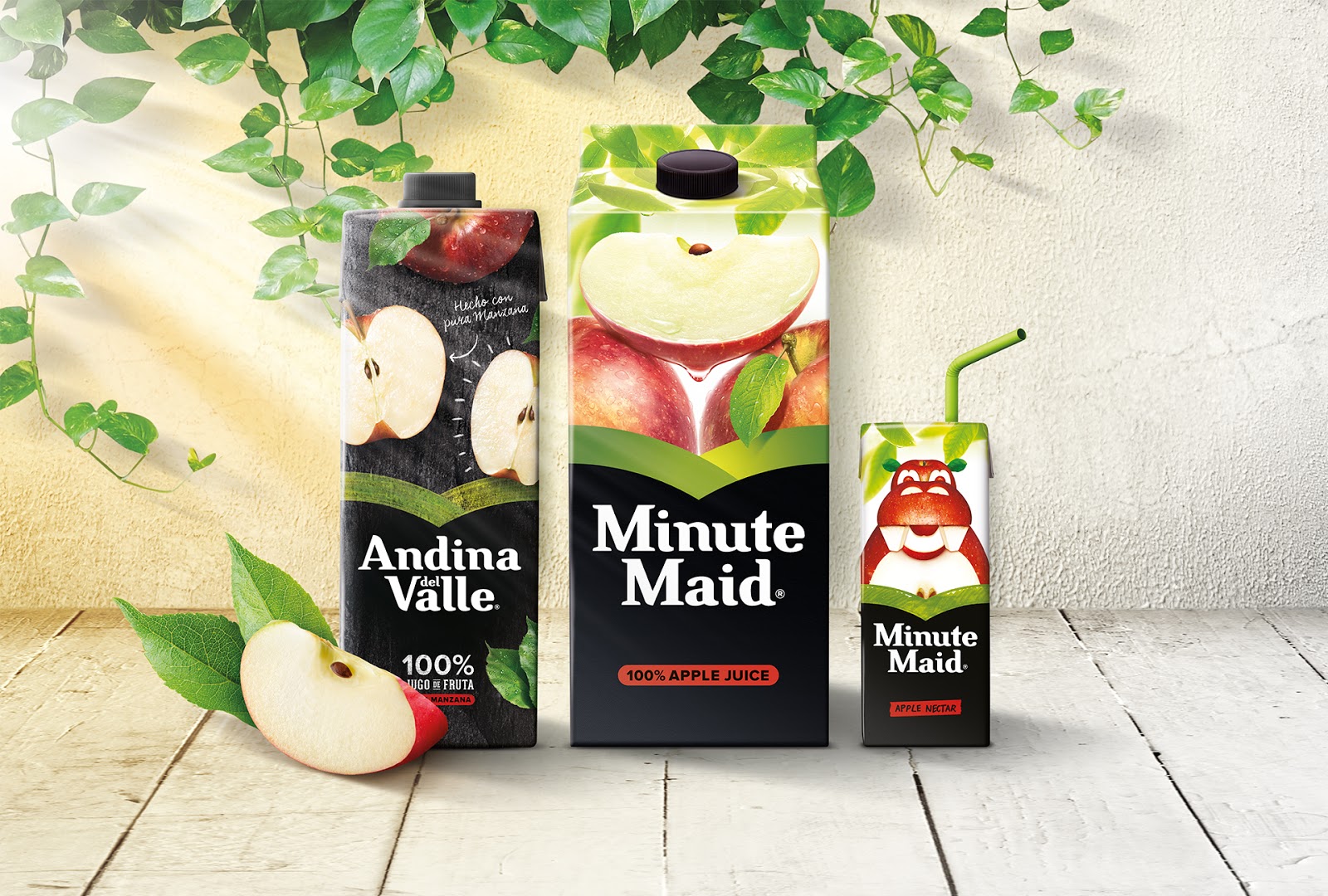 Minute Maid – The Creation of a Coherent Global Master Brand ...