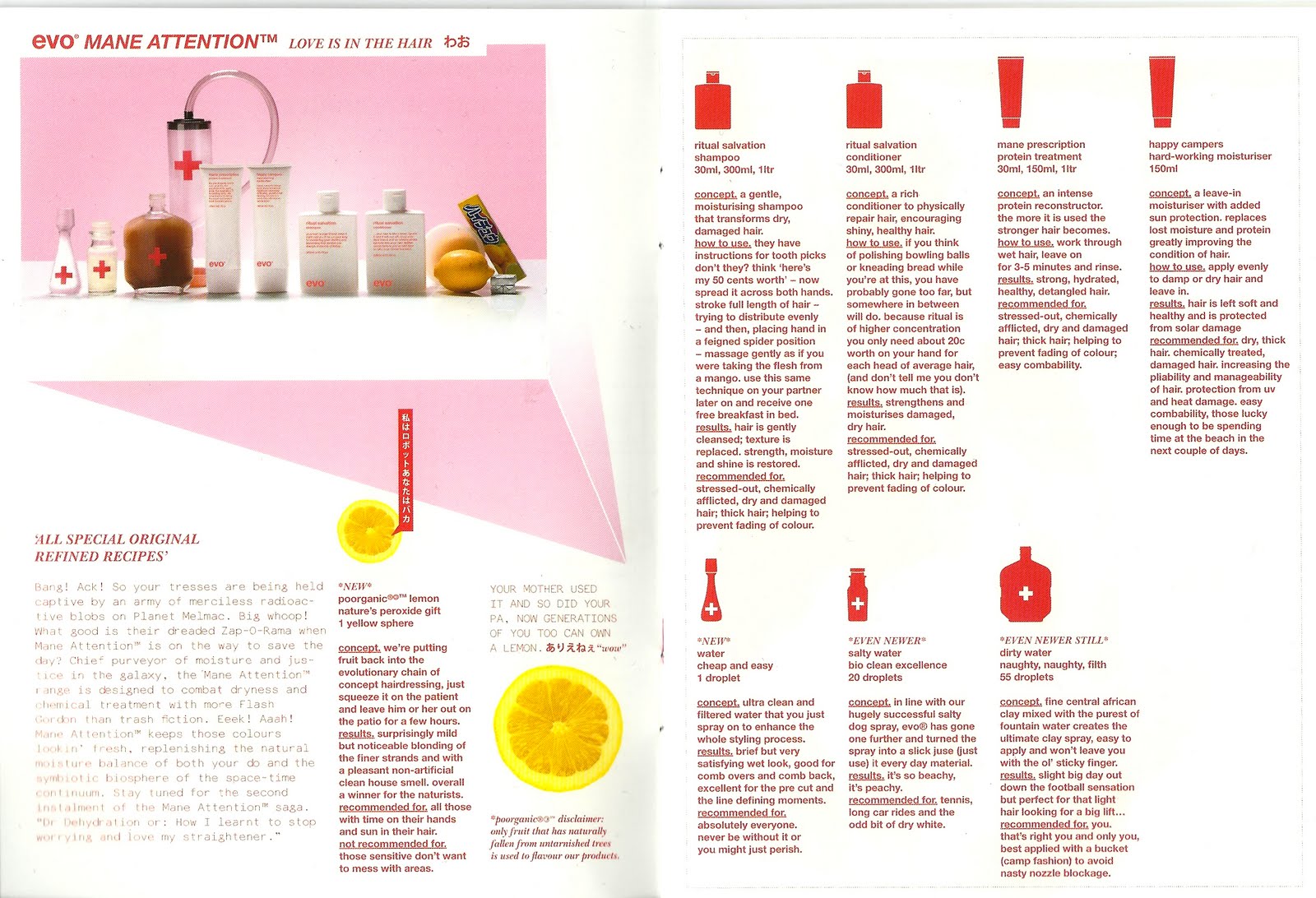 Design Context: Speaking From Experience// Evo Hair Booklet.