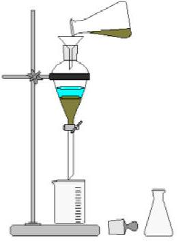 Azucena : Decantación