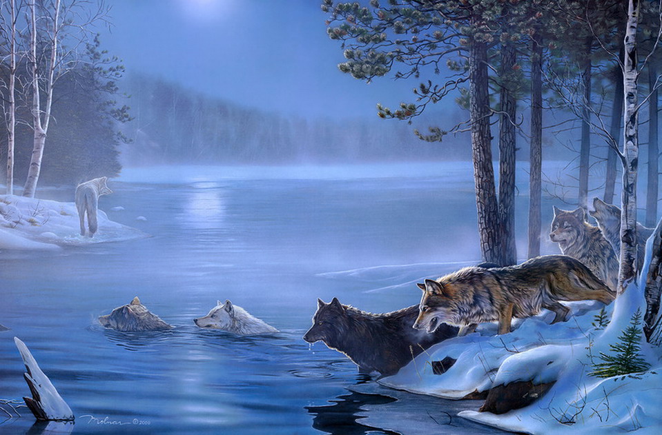 Arte y Actividad Cultural: Caballos, Lobos, Venados y Otros Animales En ...