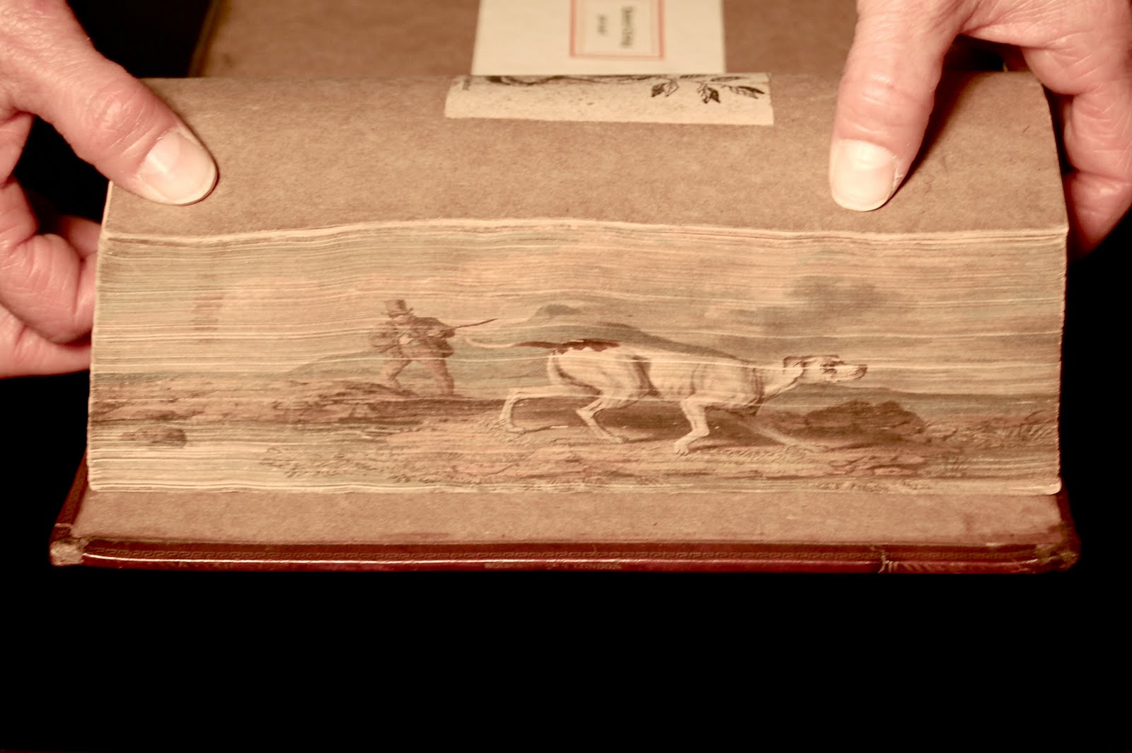 BiblioBytes: The Harold T. Clark Library Blog: Extreme Books: the ...