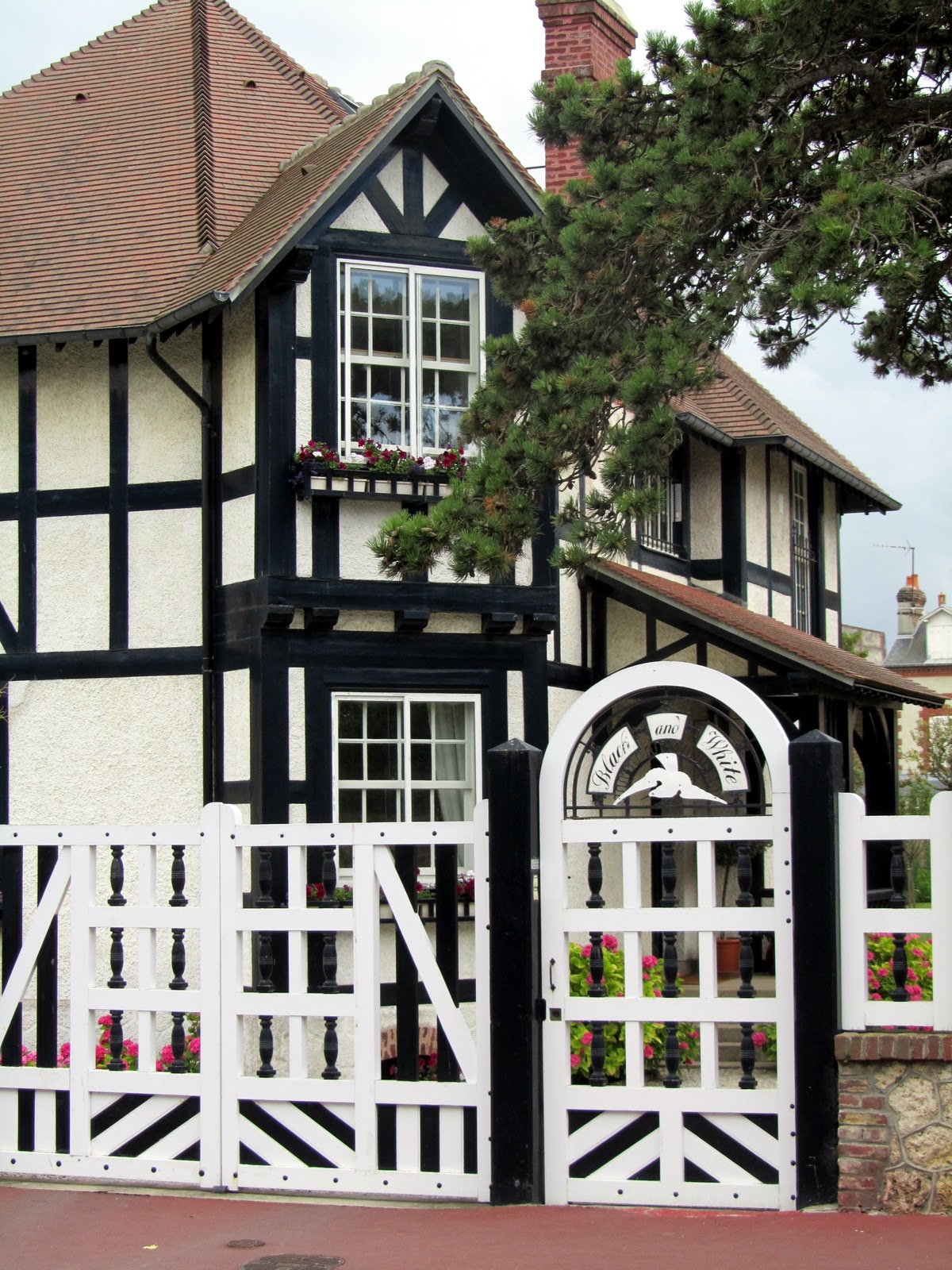 Madelief: Parisian riviera