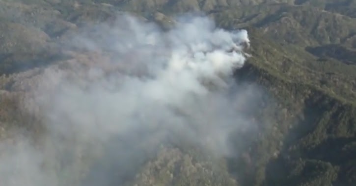 The Big Wobble : Wildfire rages in highly radioactive Fukushima ...