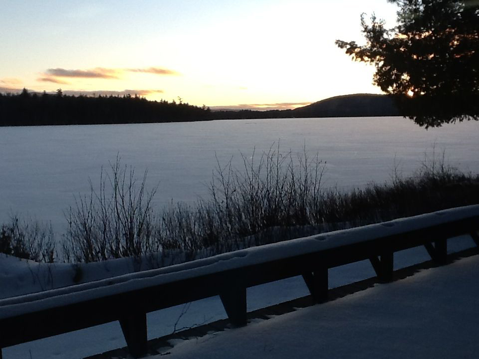 Winging It!: Get Away!