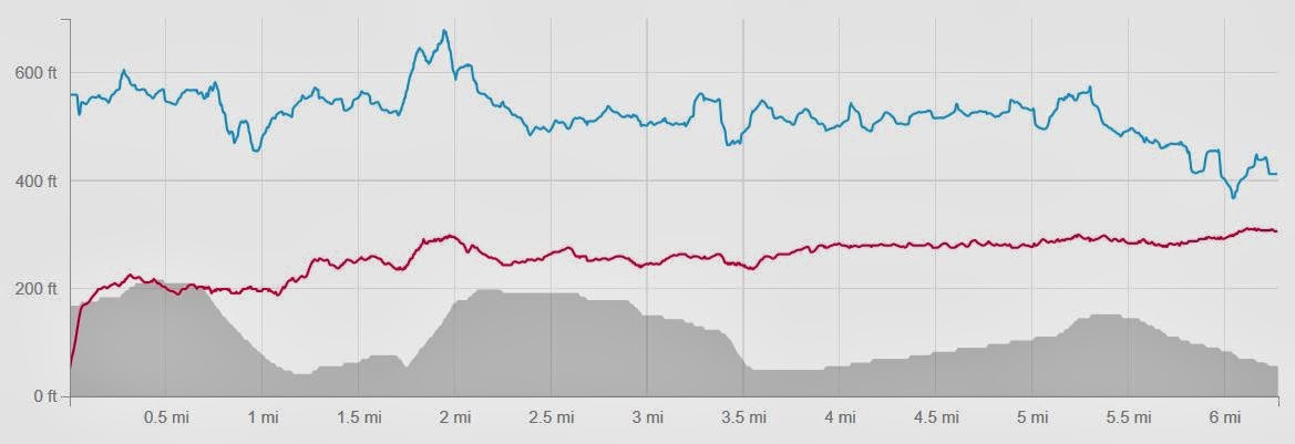 A Triathlete's Blog: Race Report: Cow Harbor 10K 2013