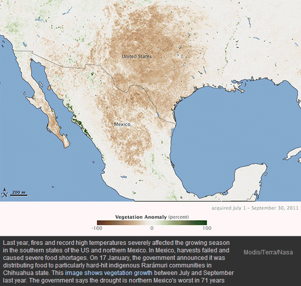Doug Ross @ Journal: Photos: Massive Food Shortage Unfolding in Mexico ...