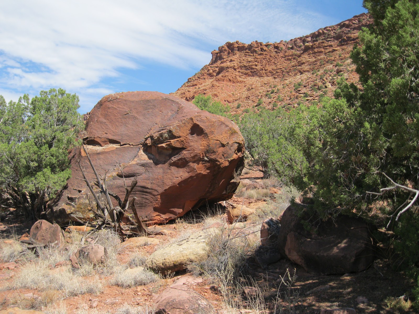 Four Corners Hikes-Dolores River Valley Colorado: Hamm Canyon in Big ...