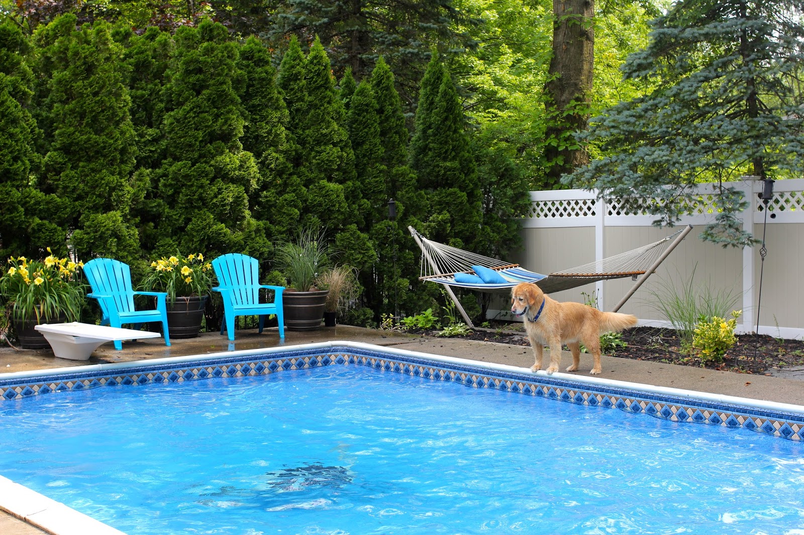Our Pool is Finally Opened! | Golden Boys & Me