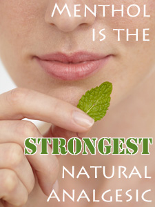 Pro Therapy Supplies: How Menthol Works as a Pain Reliever