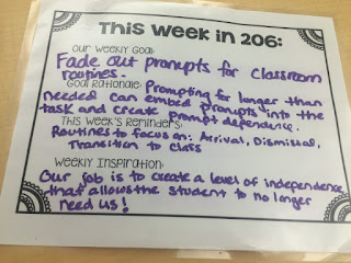 This Week in 206: Using Weekly Themes & Goals to Provide Training ...