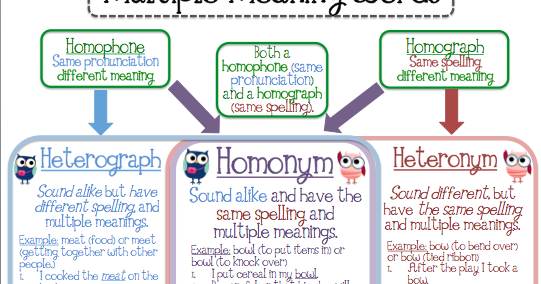 Owl's Multiple Meaning Words | The Queen's Speech
