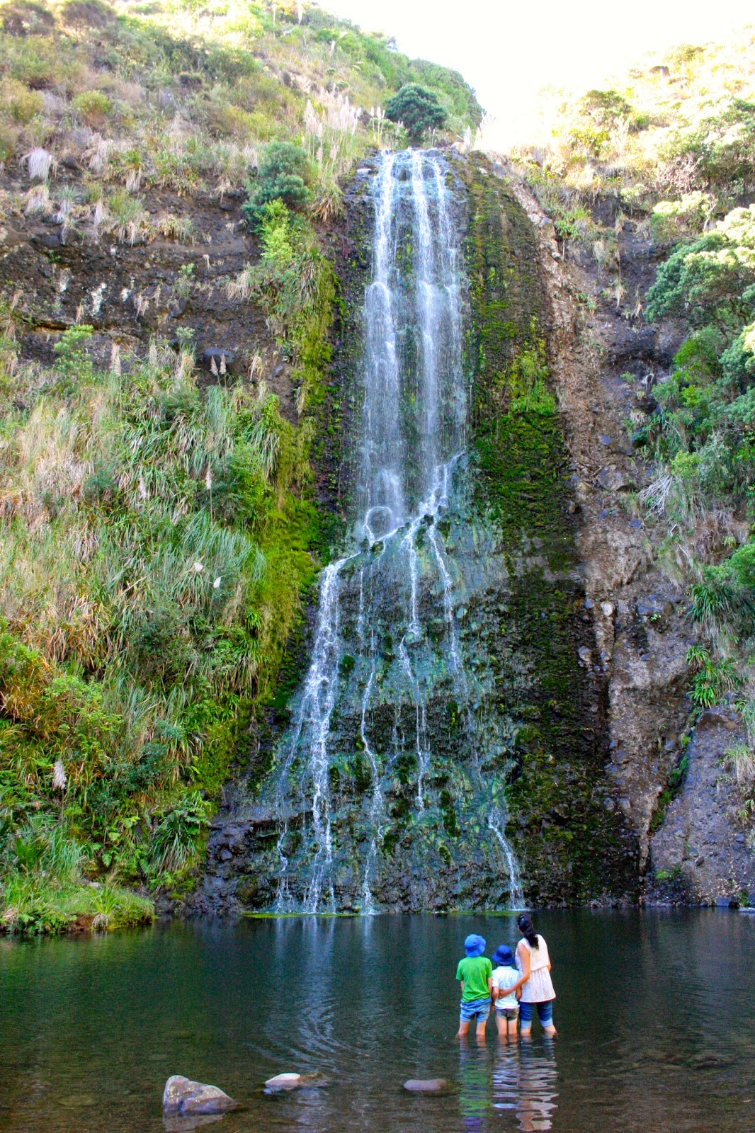 Take On Takapuna: Kite Kite Falls & Bryers Walk and Kare Kare Falls