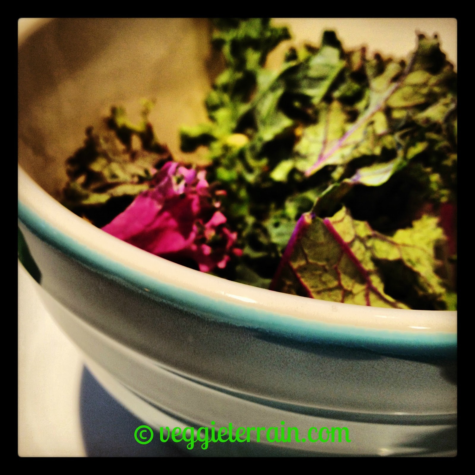 Veggie Terrain: {VeganMoFo} Kale Chips + a Brief Kale Primer