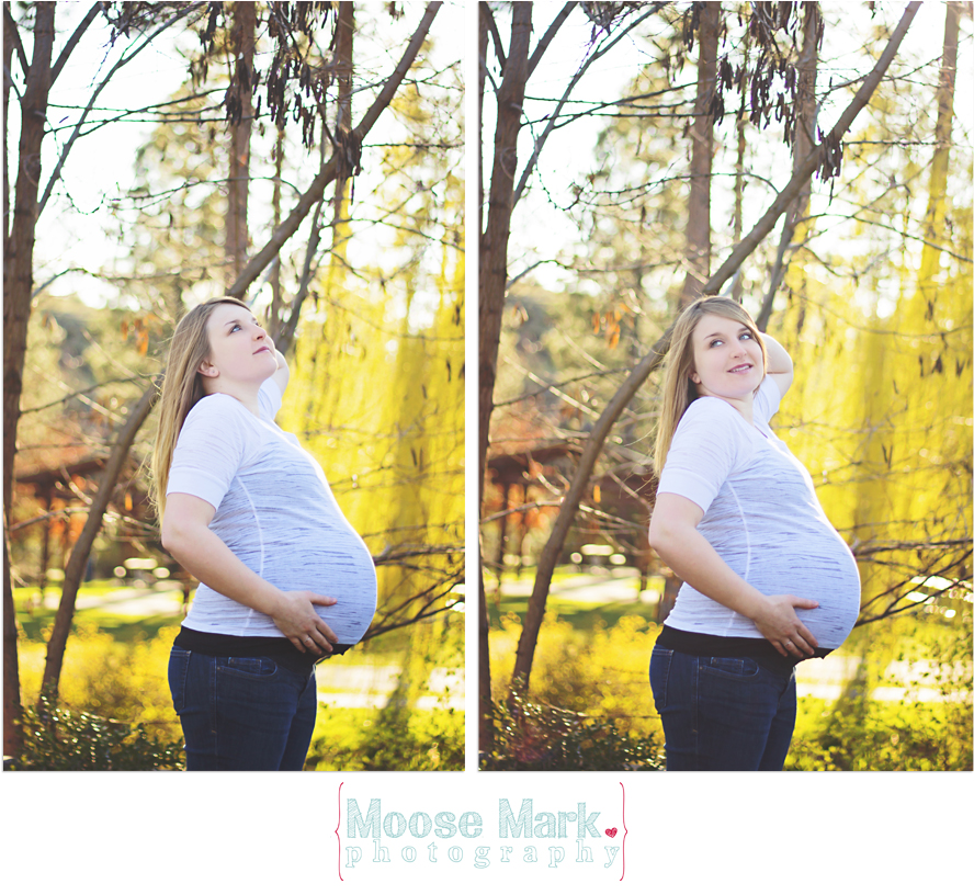 Moose Mark Photography