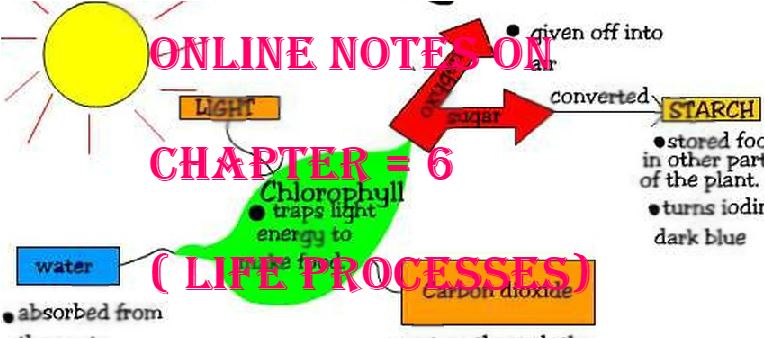 Online Notes on Chapter = 6 ( life processes) Part 2 - | Bioinformatics