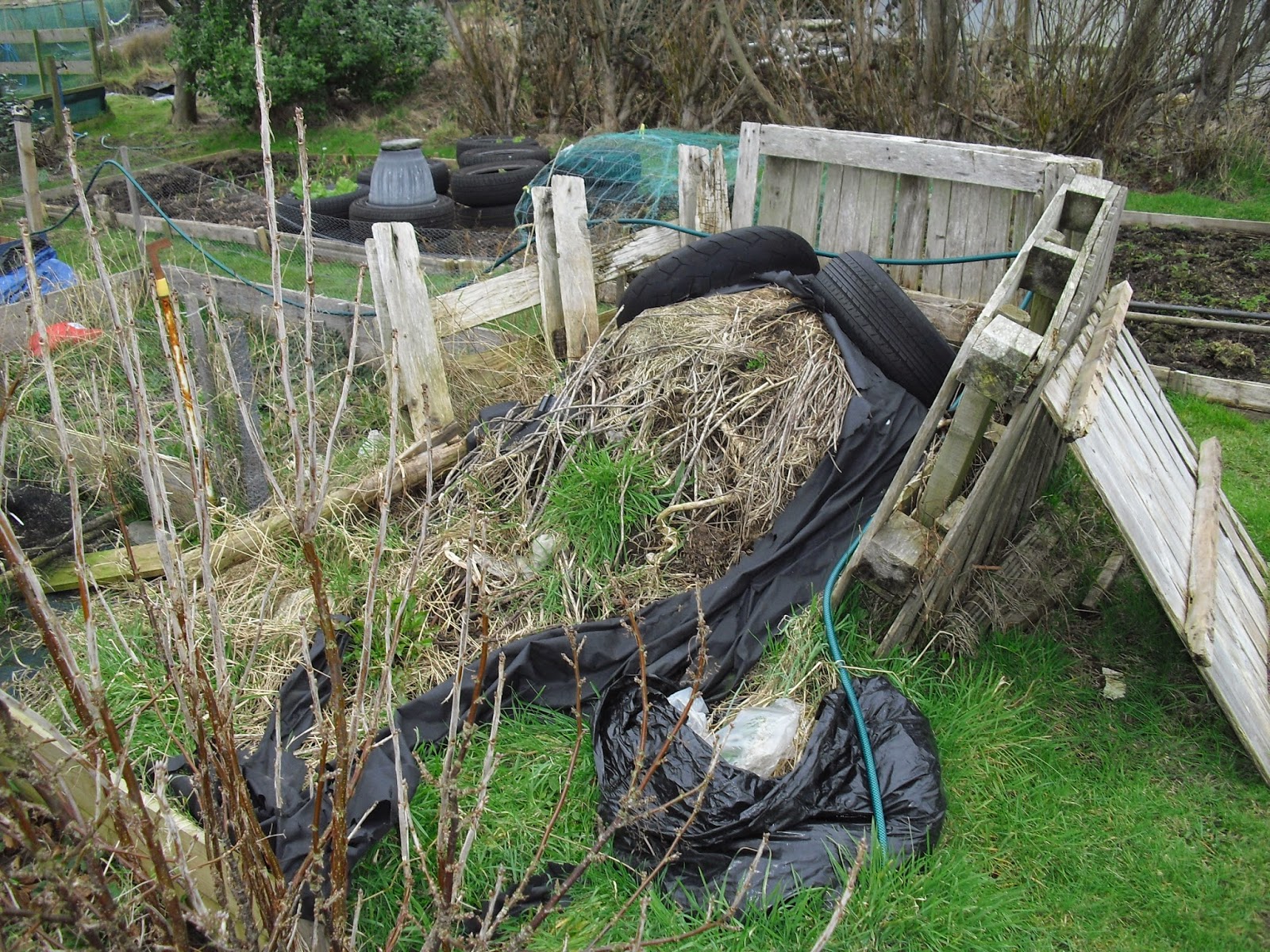 Allotment at Native Oak