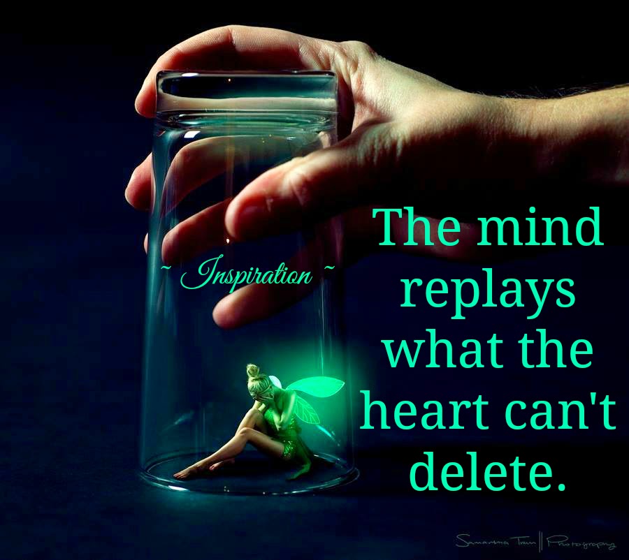 Inspirational and Random Quotes: The mind