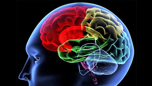 7 Tips how to increase your brain intelligence ~ Go Healthy Tips