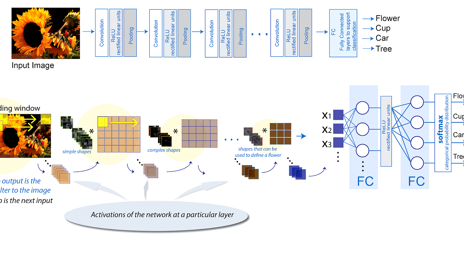 Deep Learning Network - Learning Choices