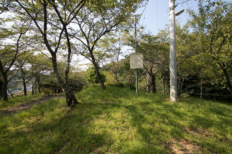 Nakamura Castle (Tosa) -History of island hero (5) Beat of benefactor ...