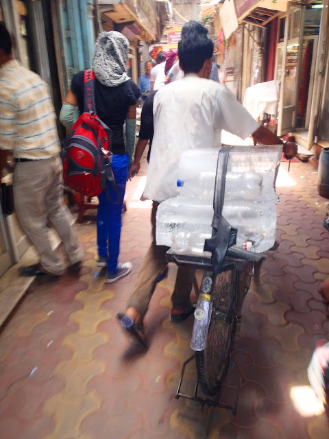 Delhi Magic: The Ice Runner