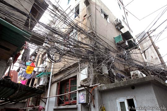 ElephaNZa: November 2014