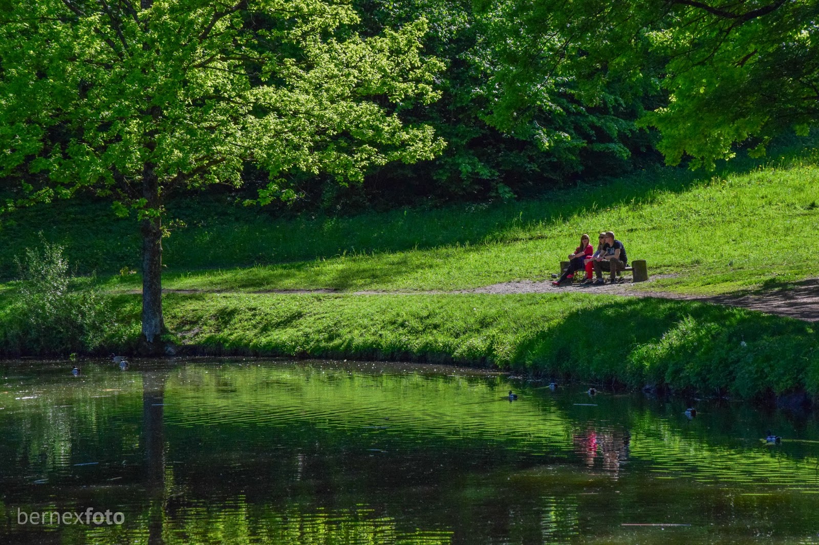 Vilnius trips: Markučių parkas ~ miniTrips - vienadienės kelionės Lietuvoje