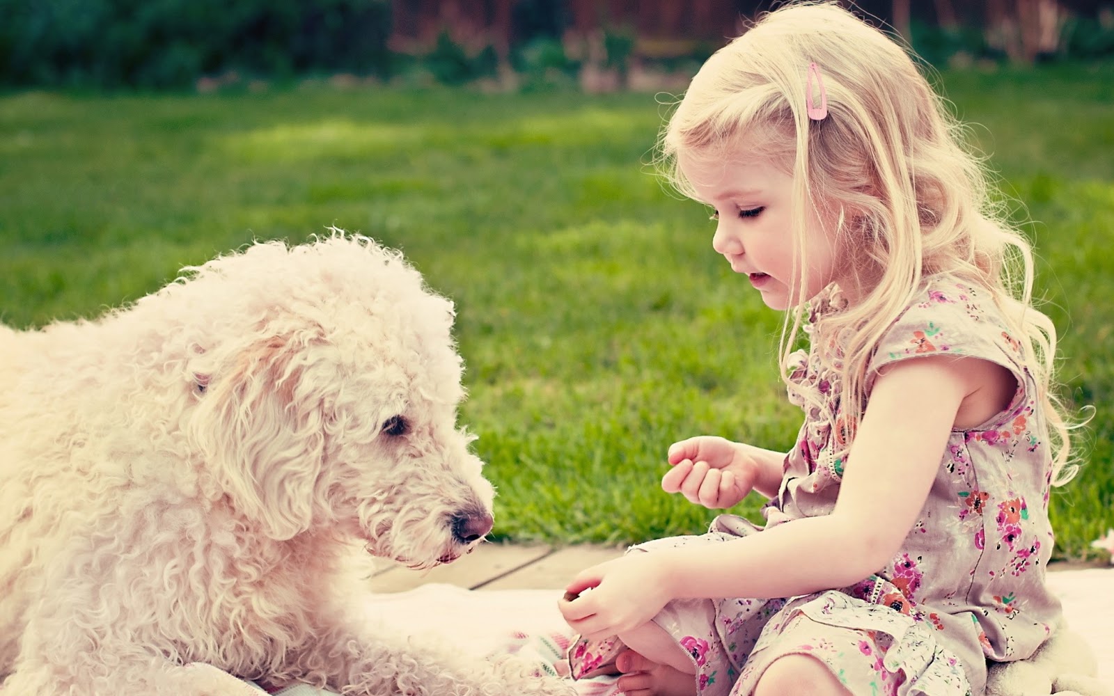 Pet agree: What Is The Best Dog Breed For Children?