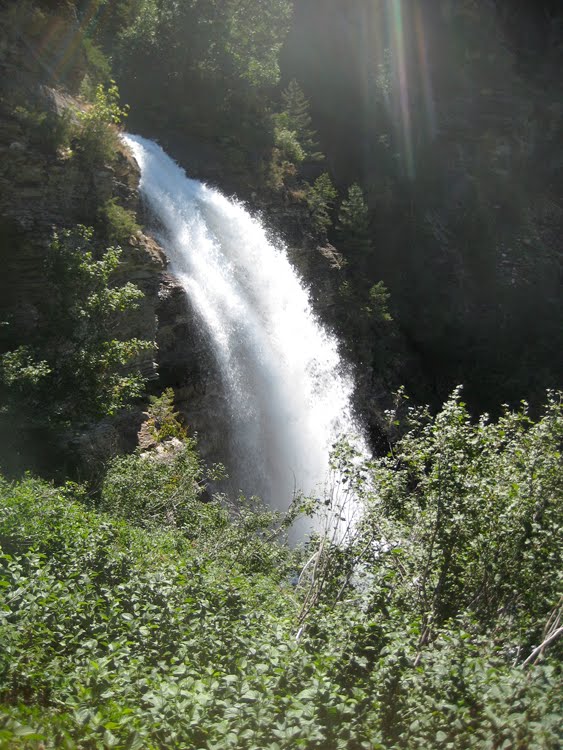 Paula Fisher Land: Mission Falls Hike 2011