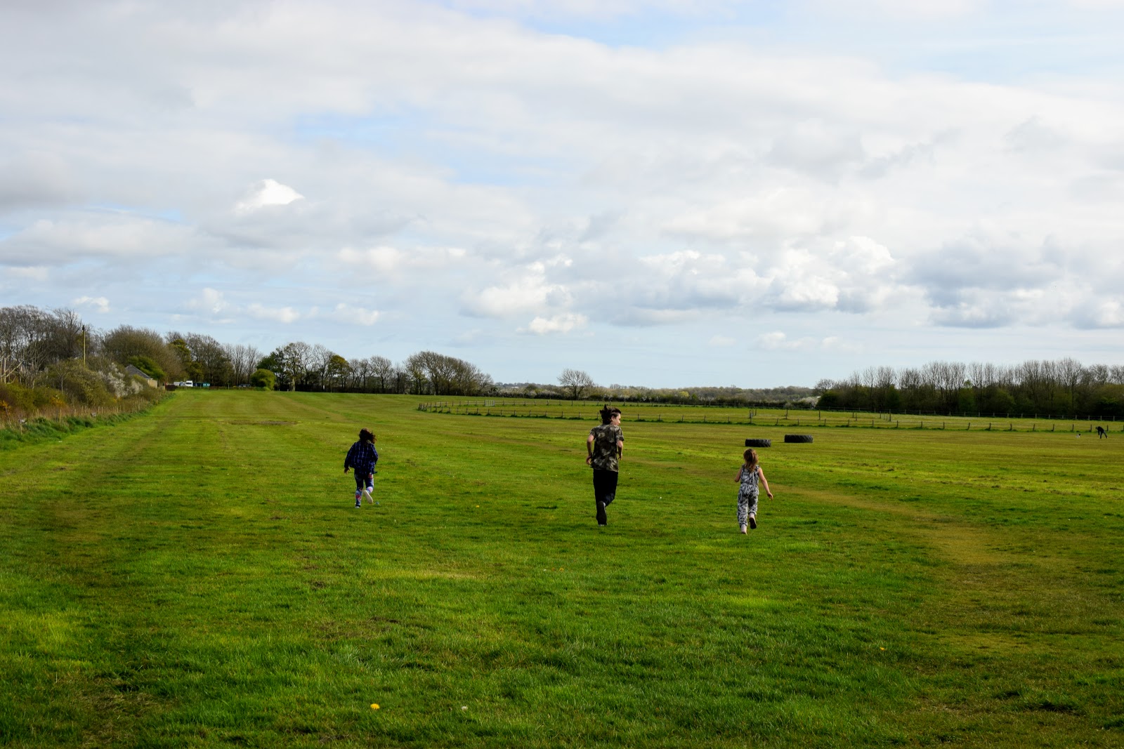 Pembrokeshire Walks: Haverfordwest Race Course - Diary of the Evans ...