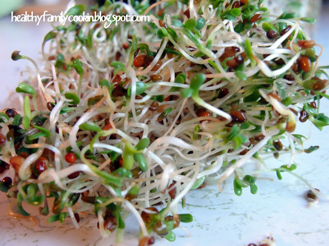 Healthy Family Cookin': Monday Meet Whole Foods: Sprouts!