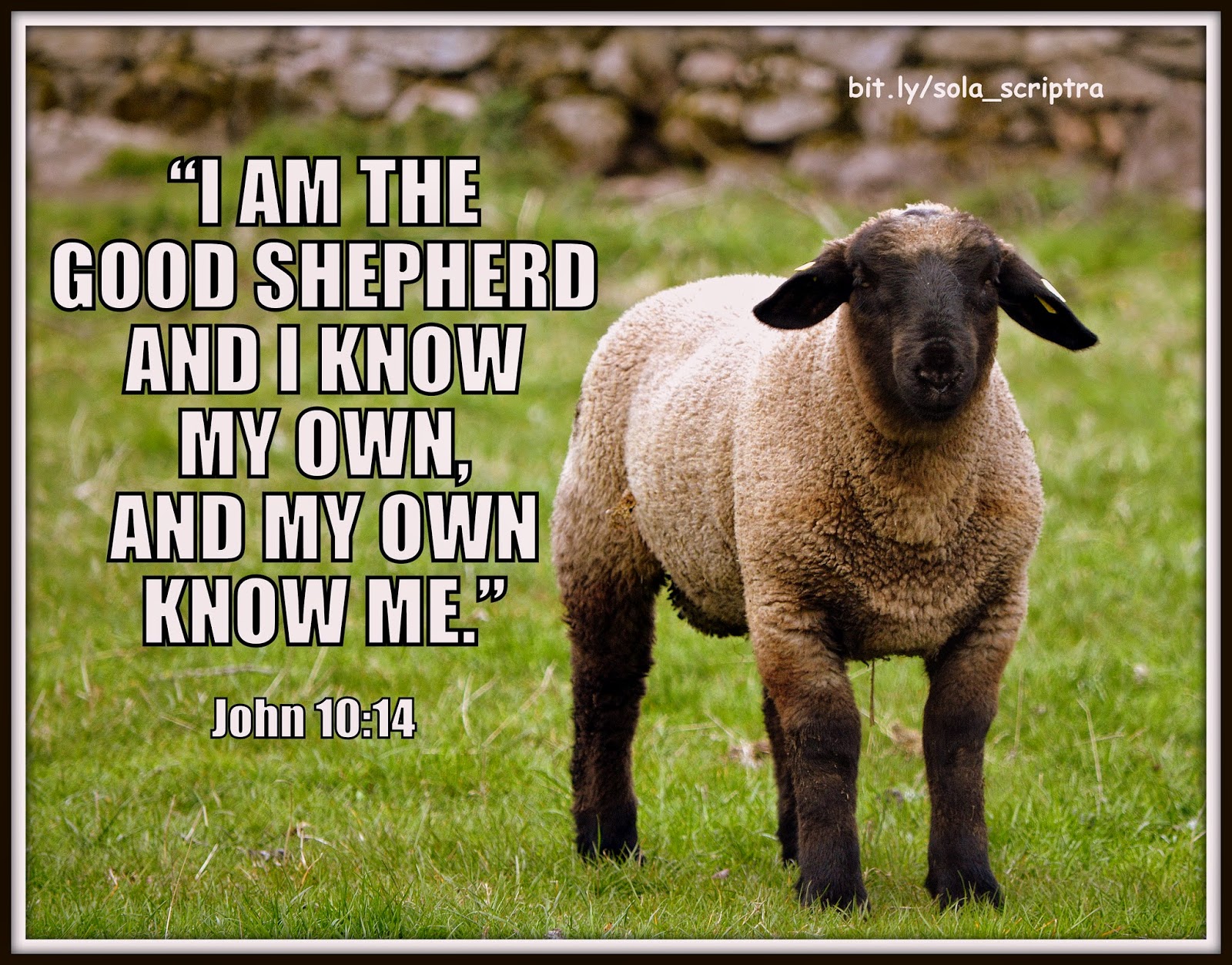 Sola Scriptura: John 10:14