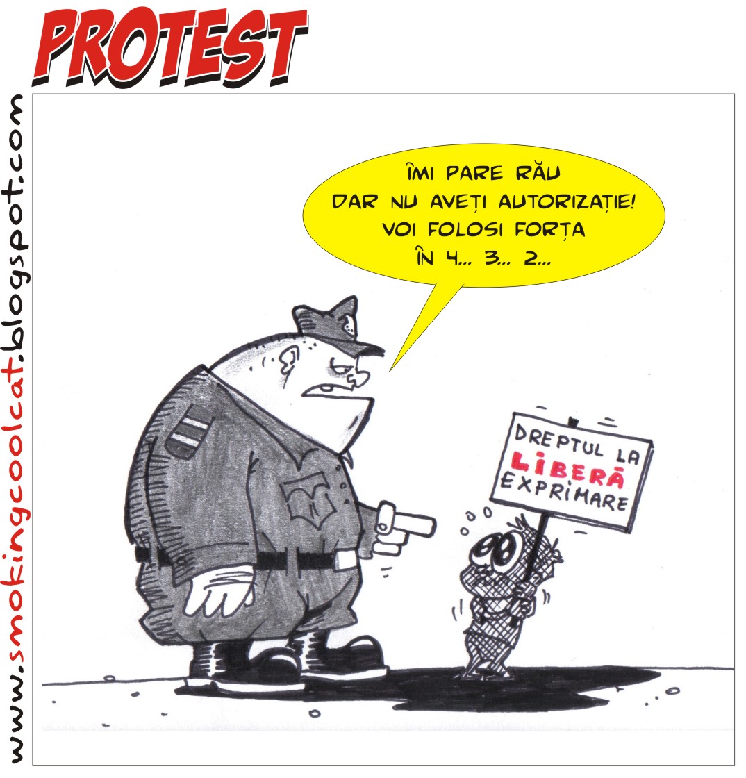 Smoking Cool Cat: Protest de Ziua Drepturilor Omului