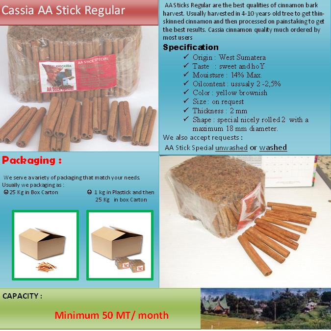 CINNAMON INDONESIA: Cassia Sticks