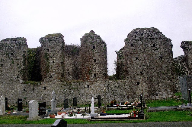 The Catholic Heritage Association of Ireland: Clane Abbey (Walsh)