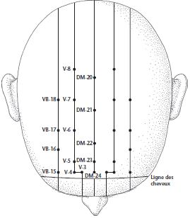 Blog Le Souffle du Menhir: VG24 Shen Ting / Shén Tíng 神庭 Cour de l'esprit
