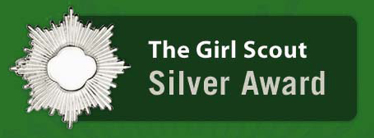 Our Girl Scout Troop