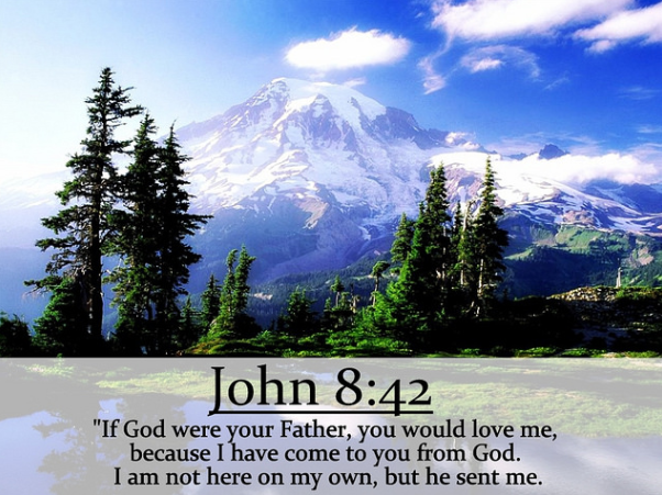 PICTURE WITH BIBLE VERSES | JOHN 8:42