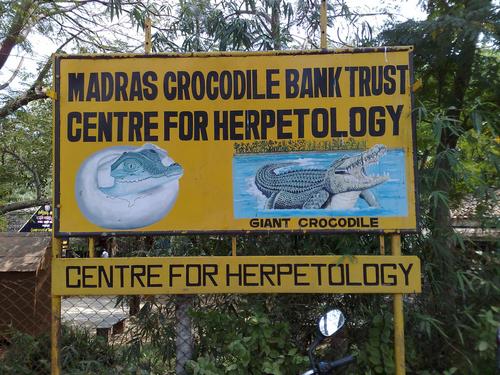 Tamilnadu Tourism: Madras Crocodile Bank