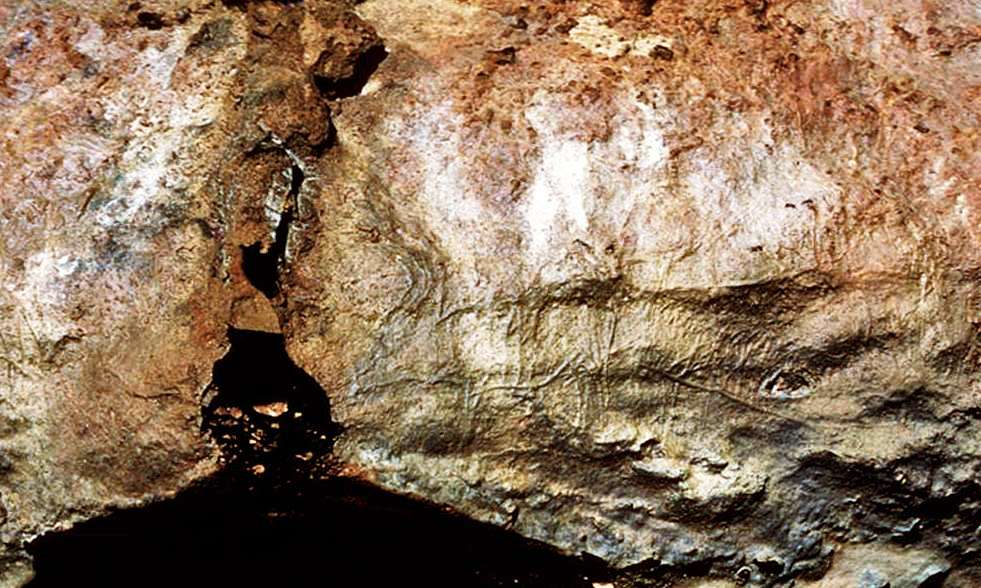 Rock Art Blog: THE DRINKING REINDEER OF LES COMBARELLES: